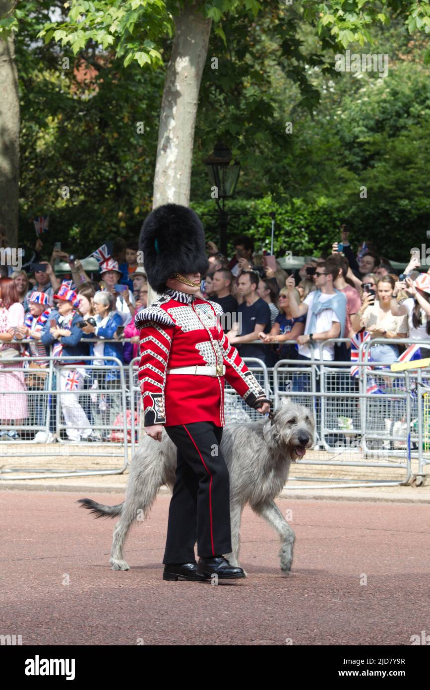 Seamus the Irish wolfhound and his handler, drummer Adam Walsh, mascot ...