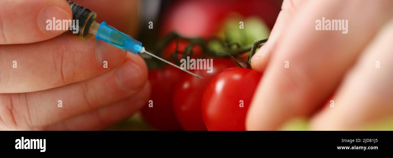 Injection fresh red tomato hi-res stock photography and images - Alamy