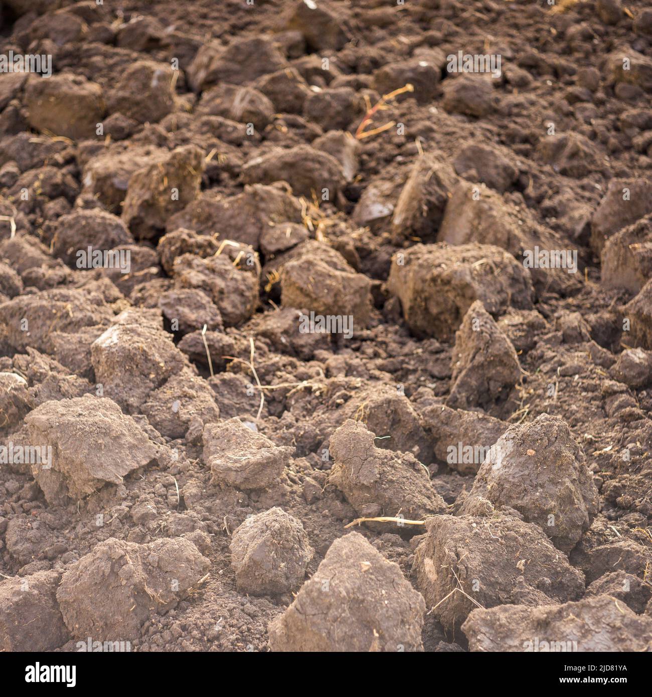 Soil excavated farm hi-res stock photography and images - Alamy