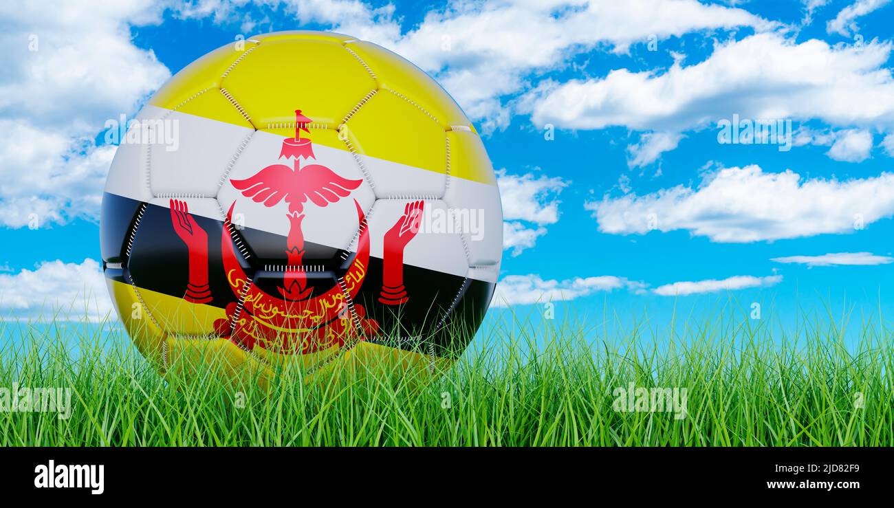 Soccer ball with Bruneian flag on the green grass against blue sky, 3D ...