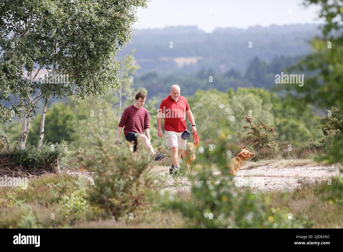 Thursley Common, Elstead. 19th June 2022. Cool conditions across the ...