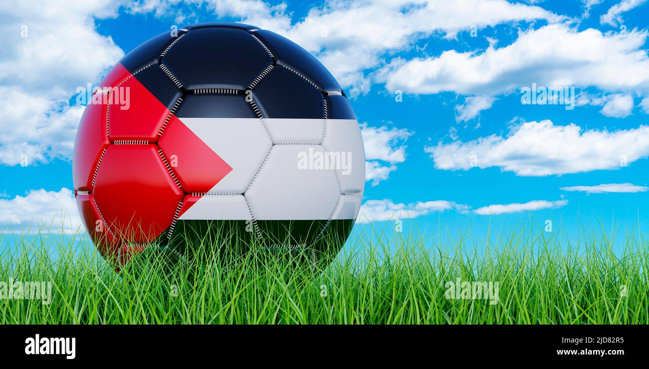 Soccer ball with Palestinian flag on the green grass against blue sky ...