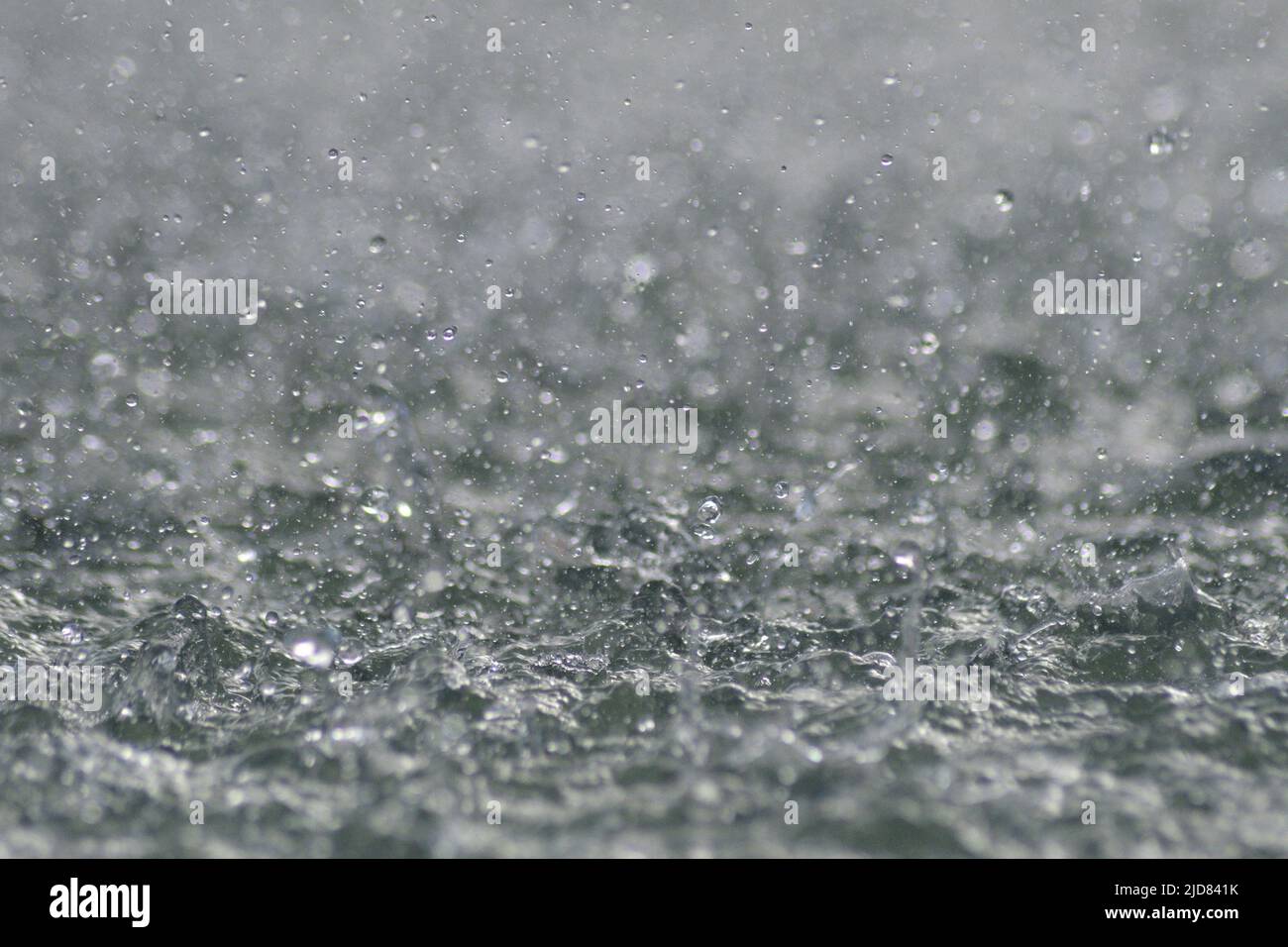 Raindrops falling in a puddle with force Stock Photo - Alamy