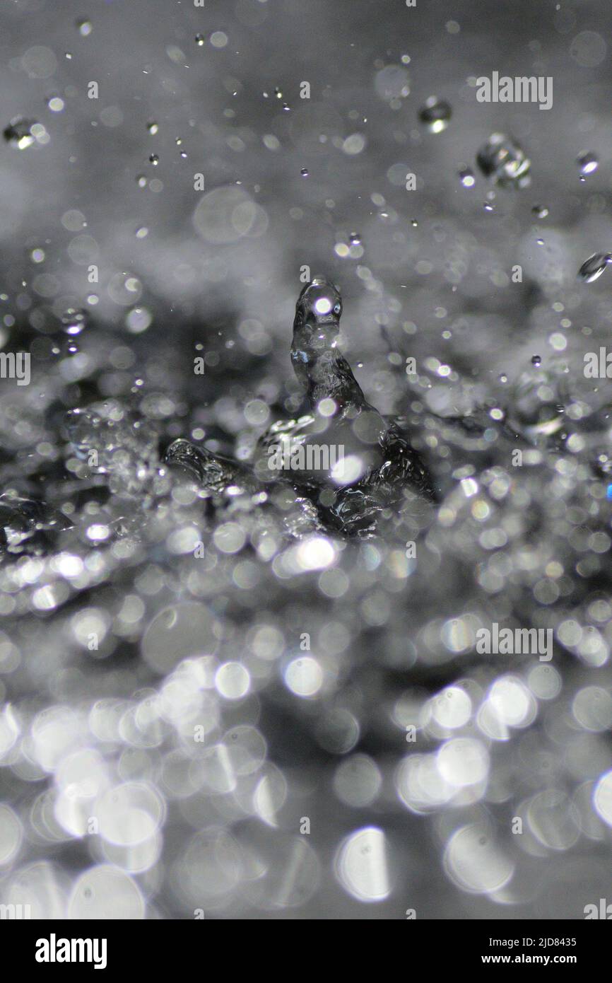 Drops splashing and jumping in a puddle water Stock Photo - Alamy