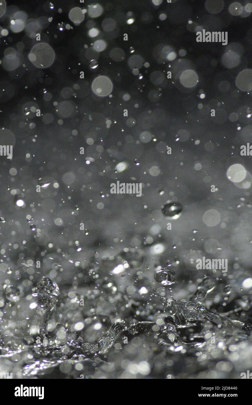 Water drops splashing and jumping with force in a puddle water Stock ...