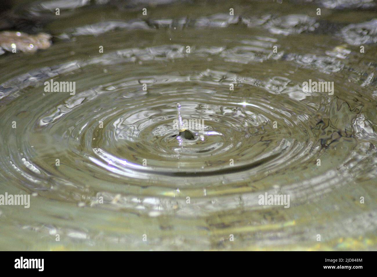 Water drop in a puddle Stock Photo - Alamy