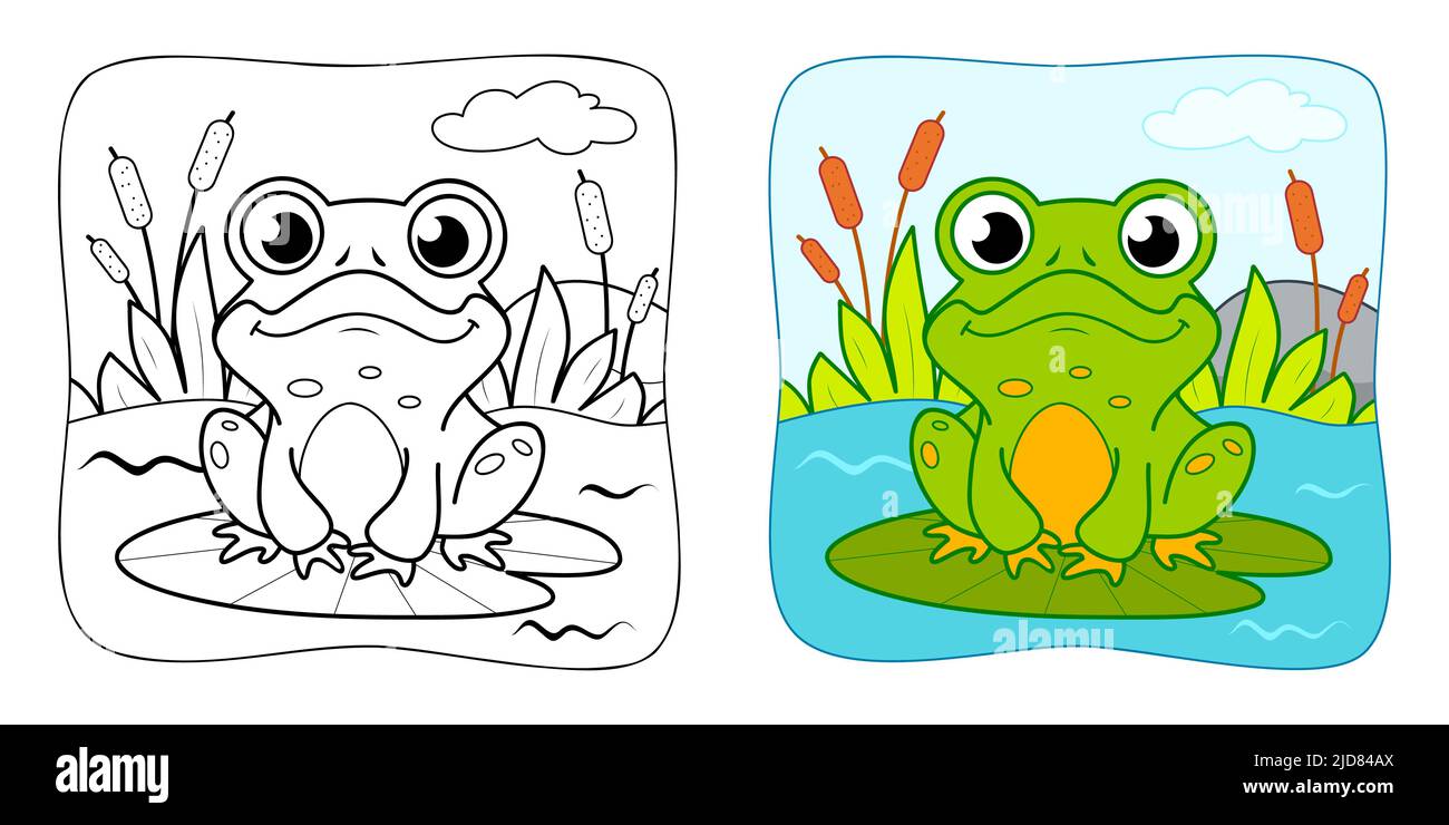 Coloring book or Coloring page for kids. Frog vector illustration ...