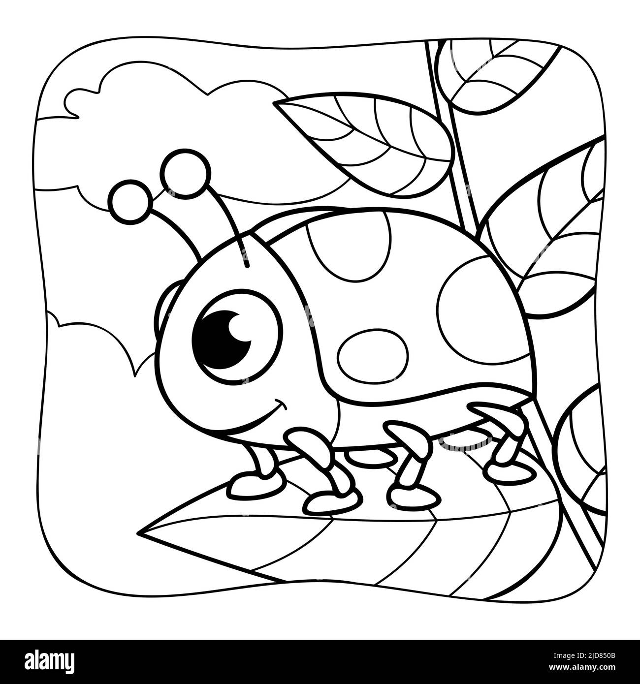 ladybug black and white. Coloring book or Coloring page for kids ...