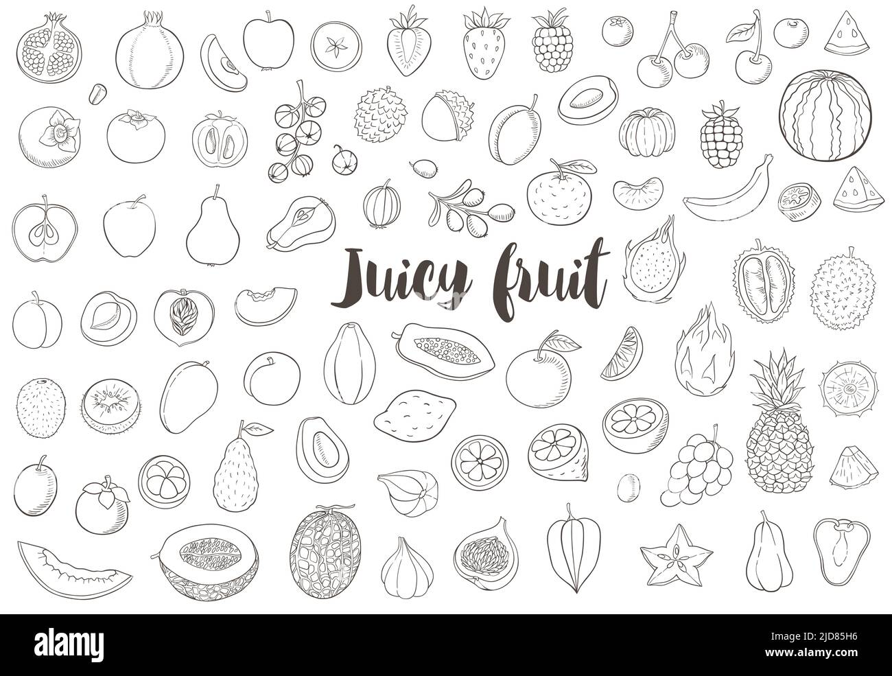 Hand drawn durian fruit hi-res stock photography and images - Alamy