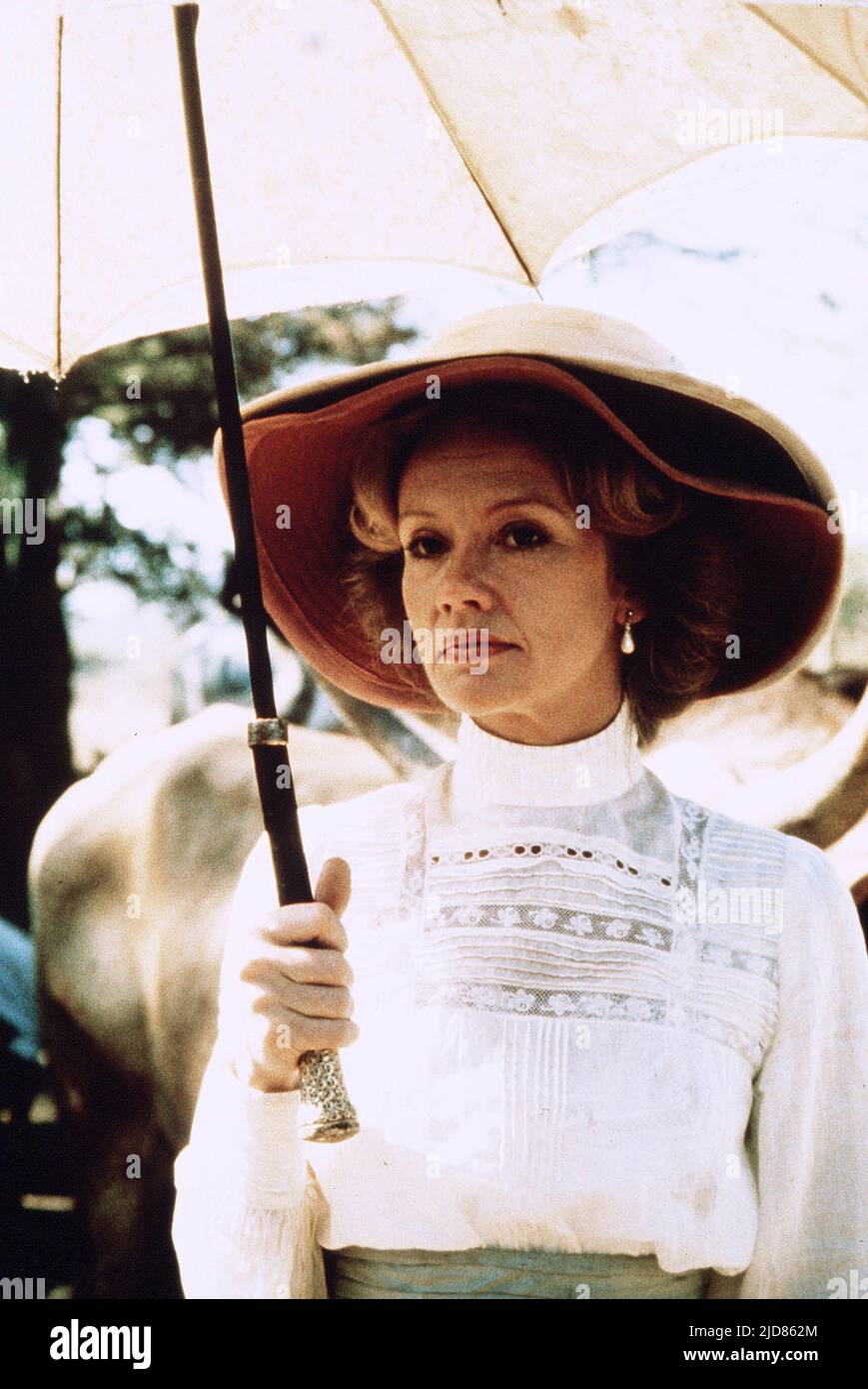 Los arboles de thika hi-res stock photography and images - Alamy