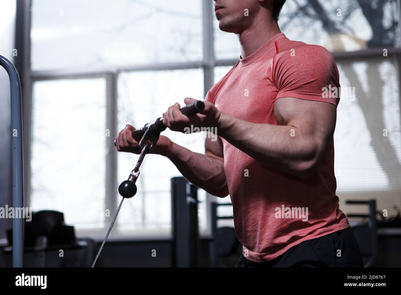 Cropped shot of a muscular bodybuilder doing bicep curls in cable ...