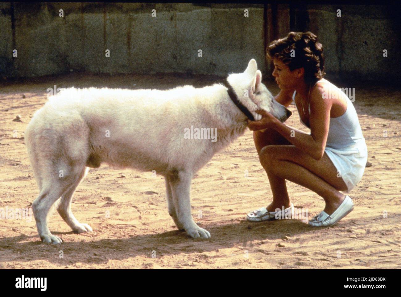 KRISTY MCNICHOL, WHITE DOG, 1982 Stock Photo - Alamy