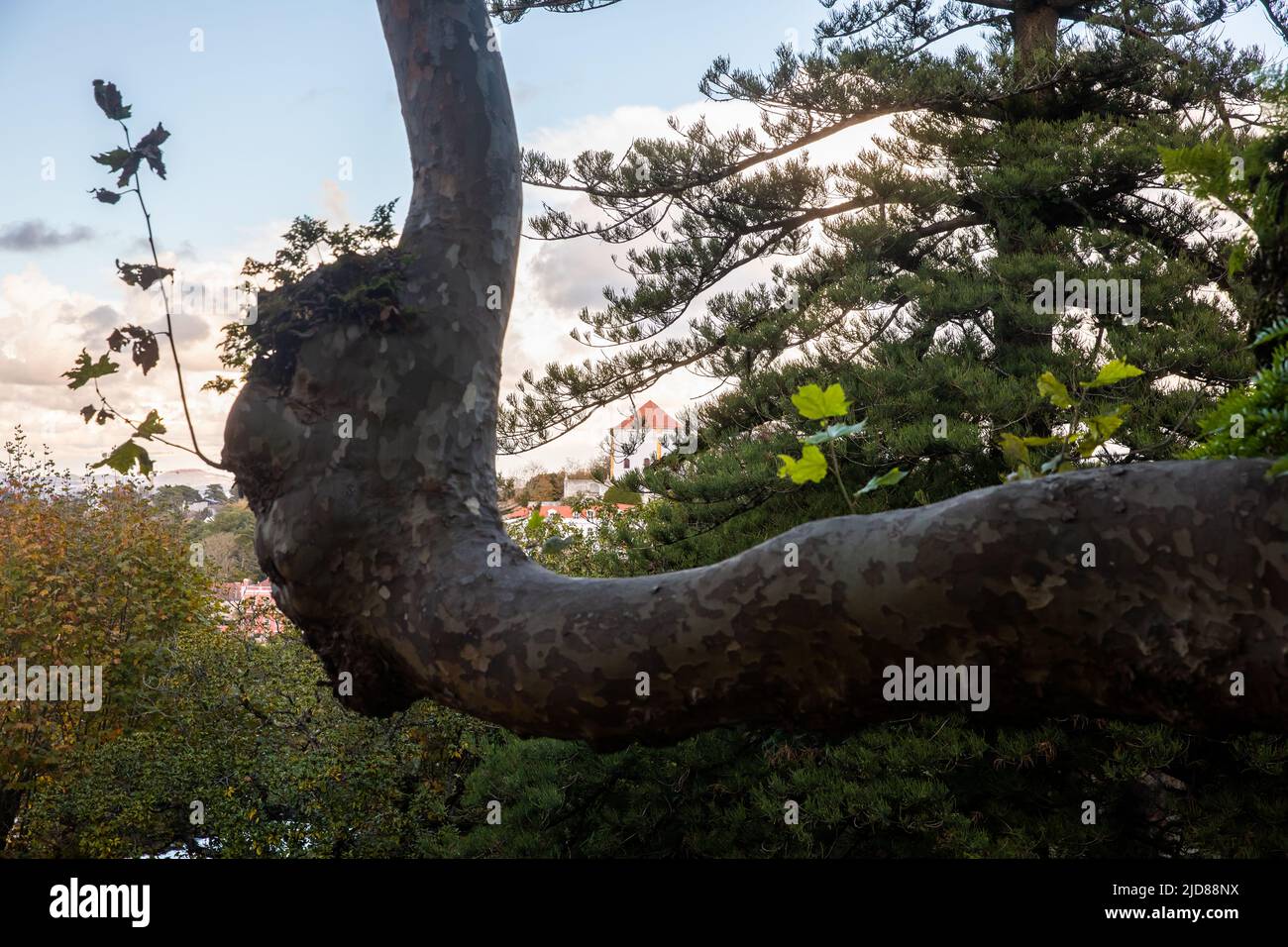 The Portuguese Riviera, Portugal - October 22, 2020 - Architecture ...