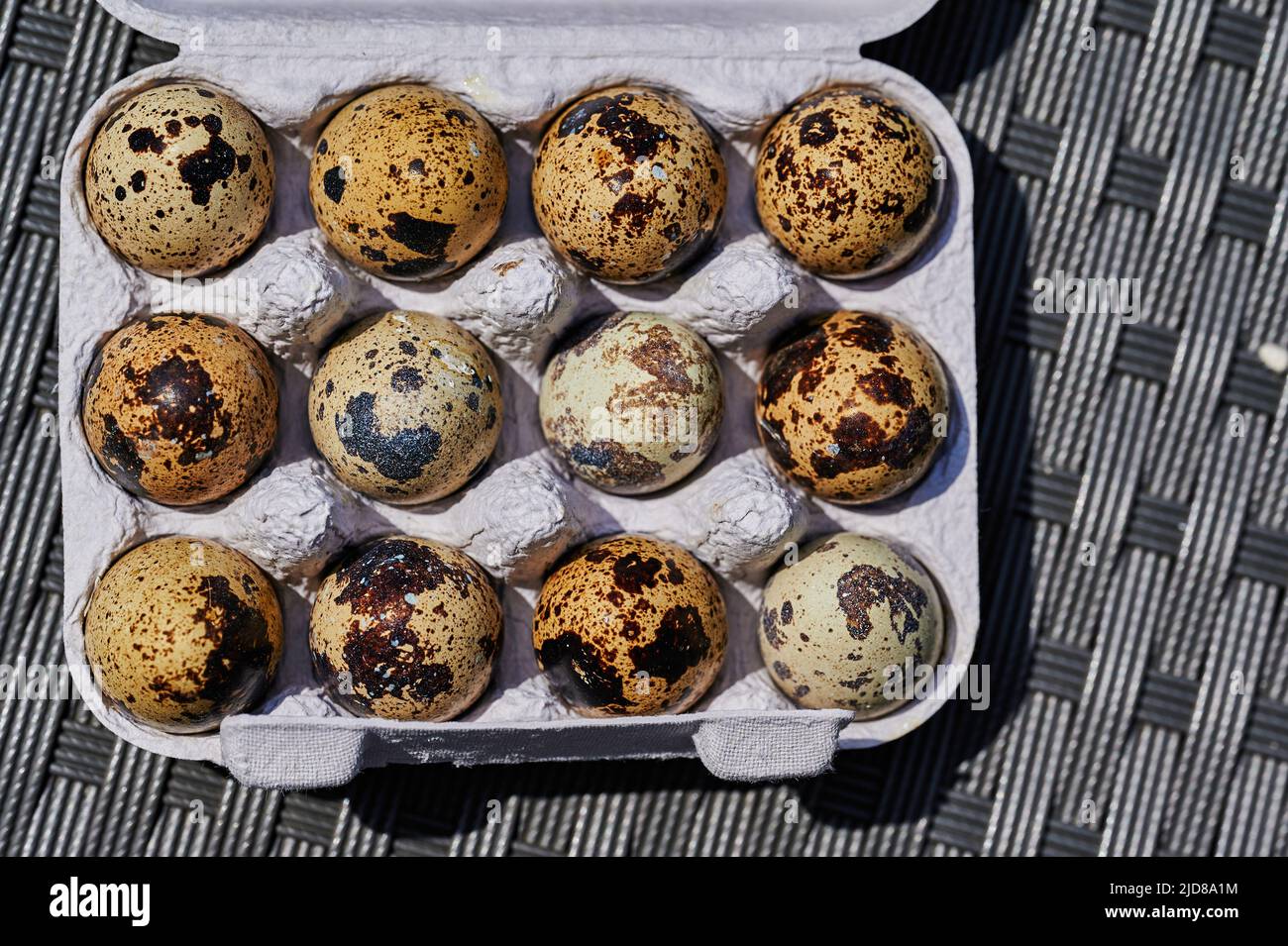 Top view of box of fresh quail eggs with speckled shell Stock Photo - Alamy