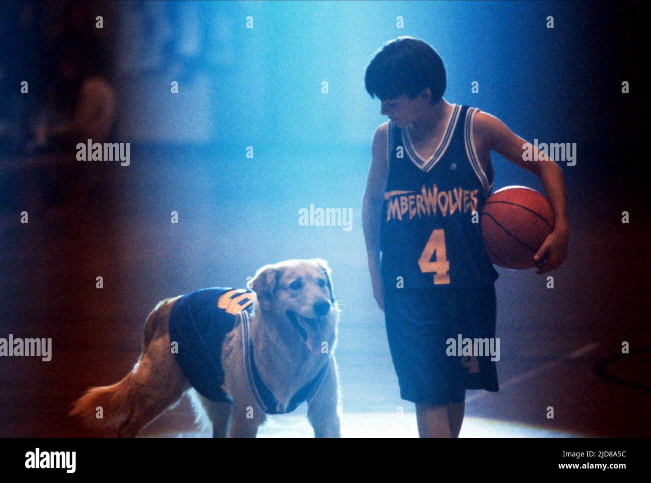 Air bud dog hi-res stock photography and images - Alamy