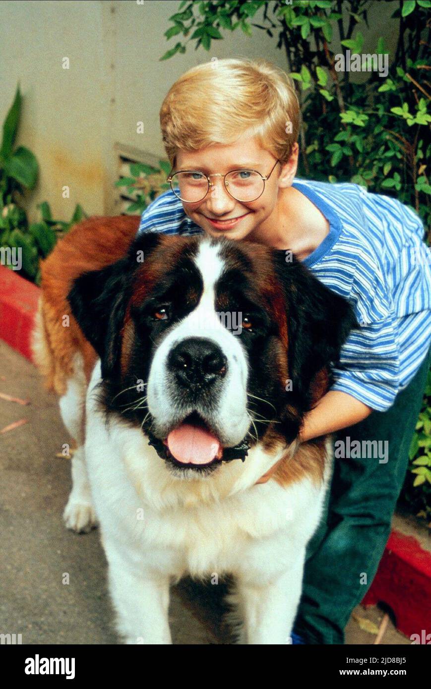 Is Beethoven The Dog Alive