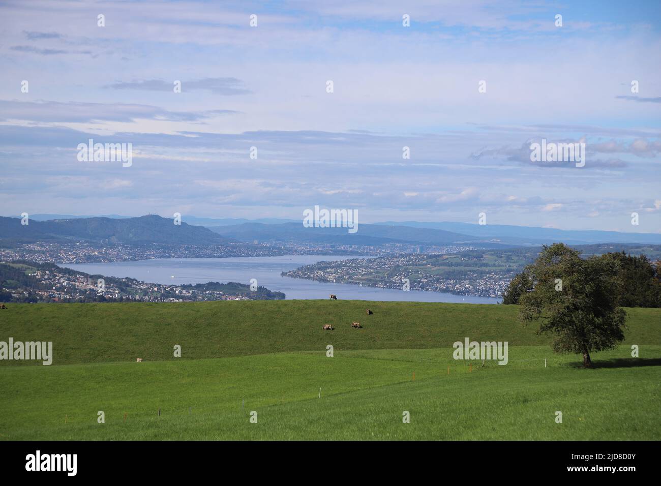 Bisisthal hi-res stock photography and images - Alamy
