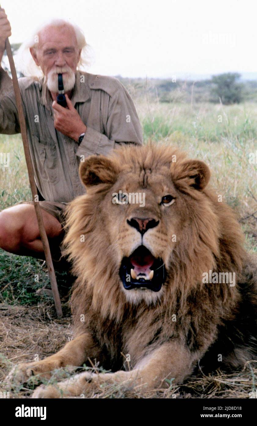 Richard harris lion walk lions hi-res stock photography and images - Alamy