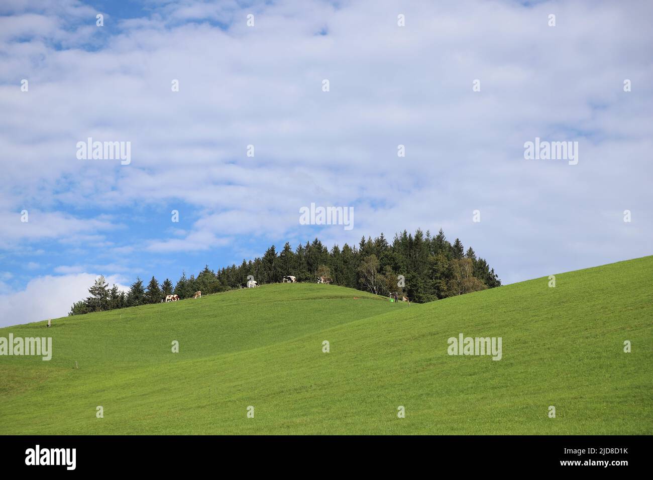 Bisisthal hi-res stock photography and images - Alamy