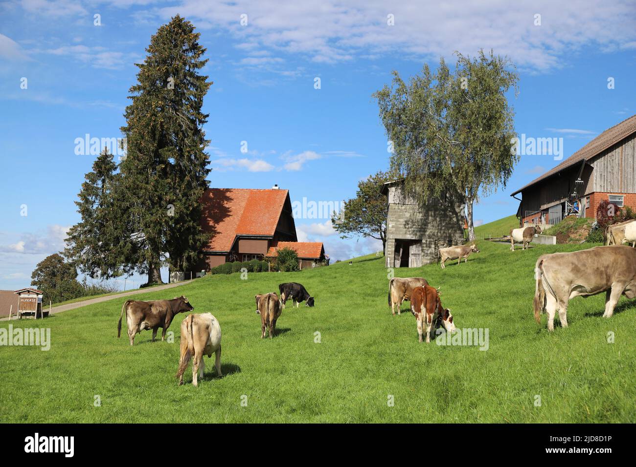 Bisisthal hi-res stock photography and images - Alamy