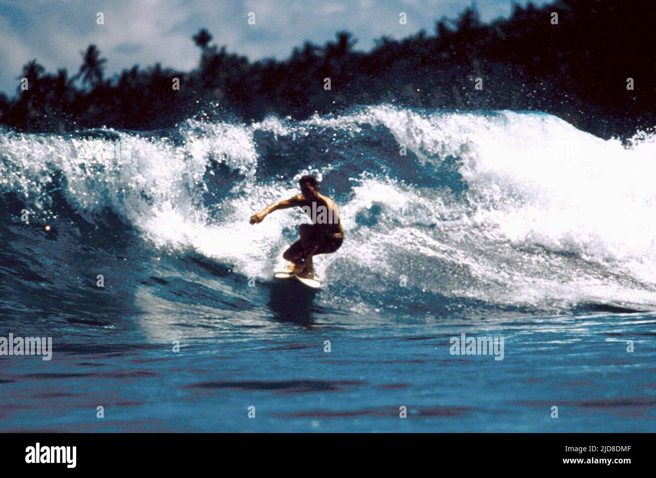 SURFING SCENE, BLOOD SURF, 2000 Stock Photo - Alamy