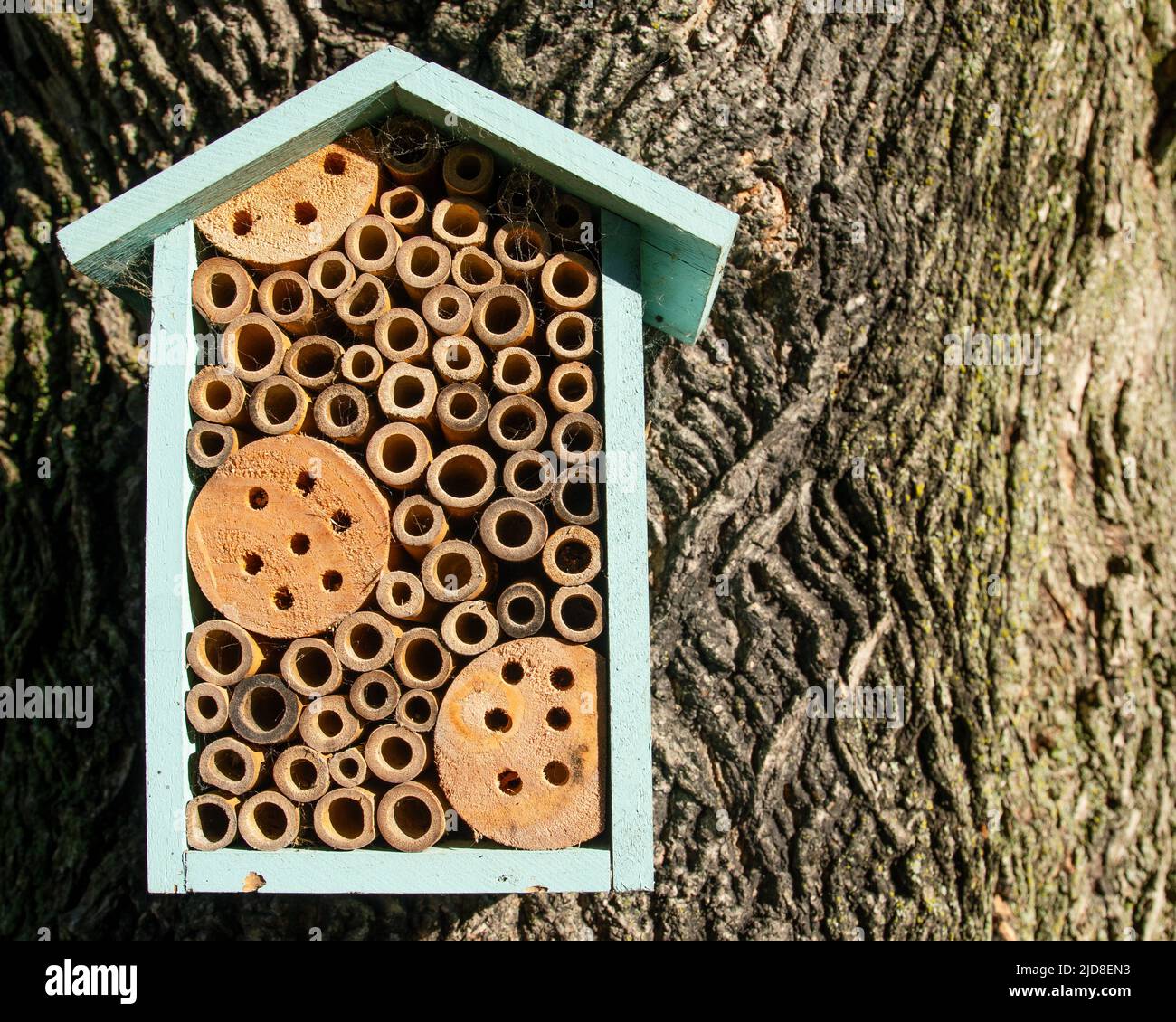 Bee habitat hi-res stock photography and images - Alamy