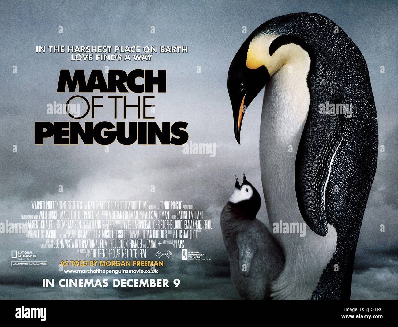 Chillin Penguins Poster