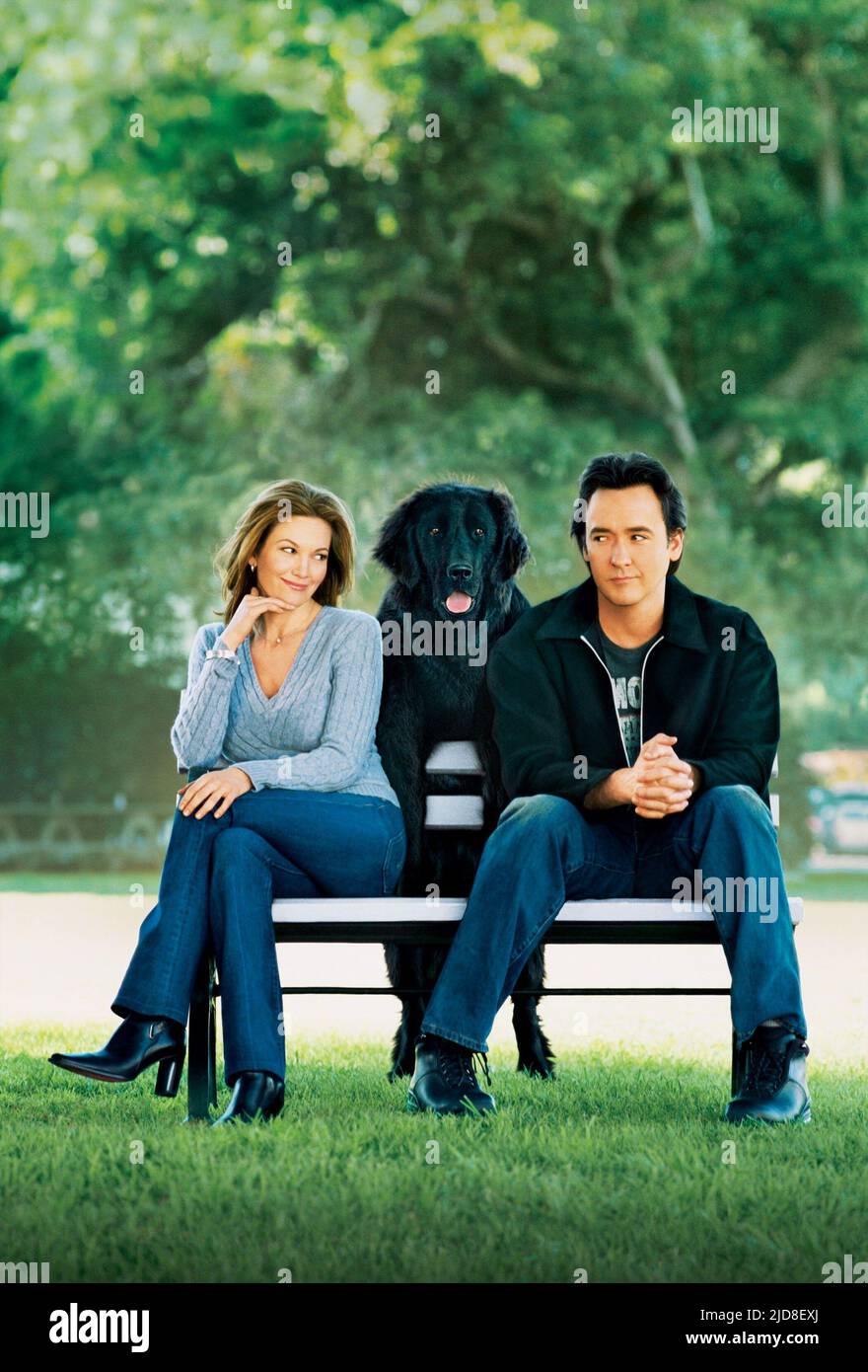 Must love dogs diane lane hi-res stock photography and images - Alamy