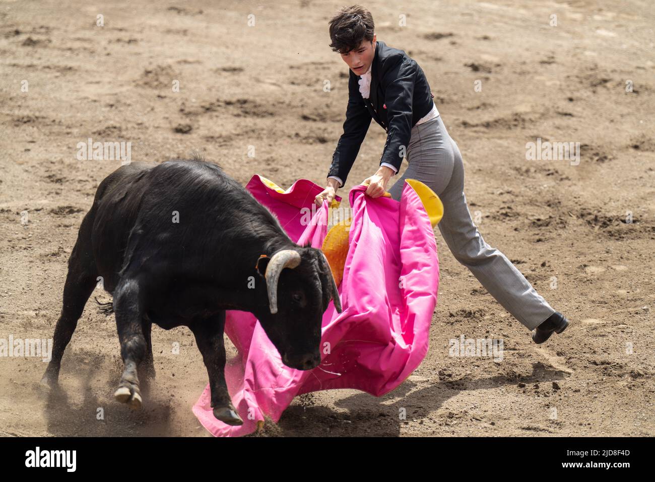 A young matador during a bullfight for students to celebrate the ...