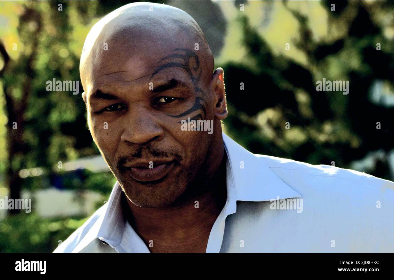 MIKE TYSON, TYSON, 2008 Stock Photo - Alamy