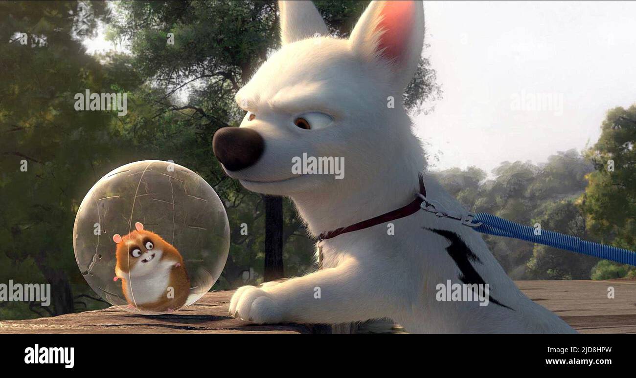 Rhino From Bolt Wallpaper