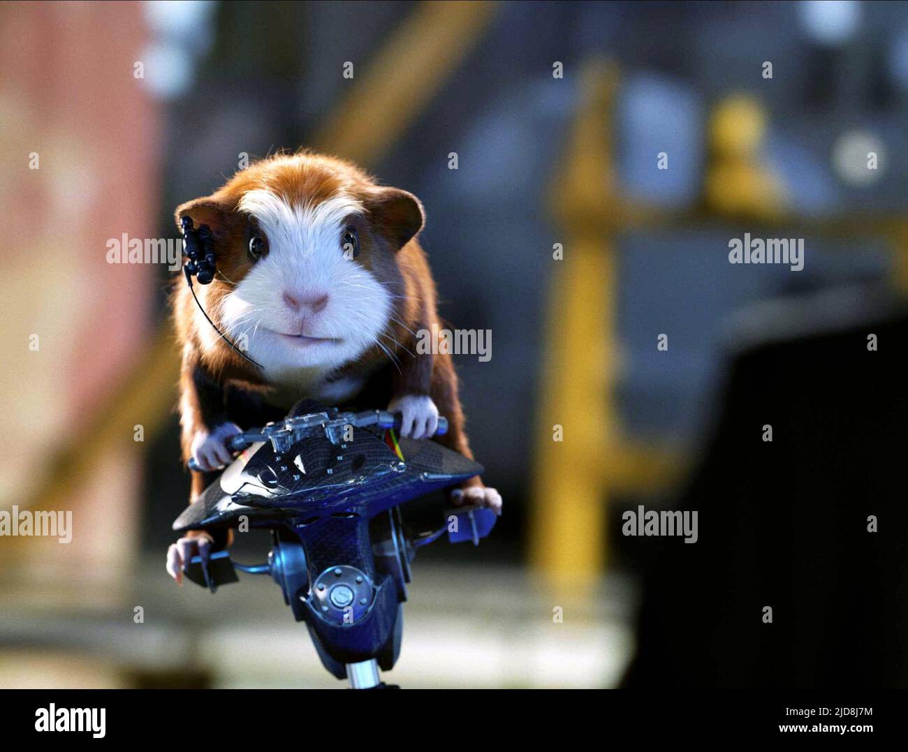 AGENT DARWIN, G-FORCE, 2009 Stock Photo - Alamy