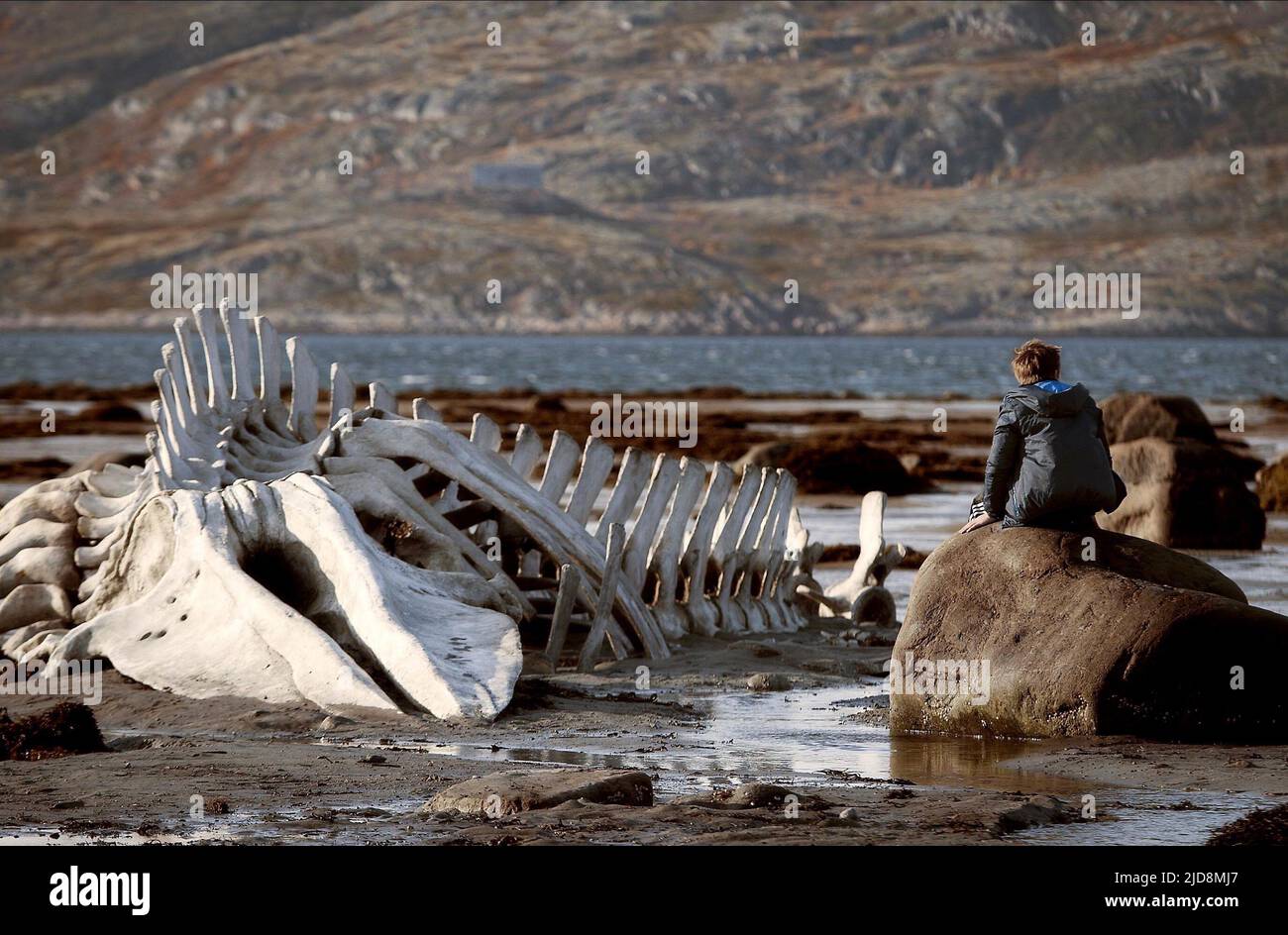 SCENE WITH WHALE BONES, LEVIATHAN, 2014 Stock Photo - Alamy
