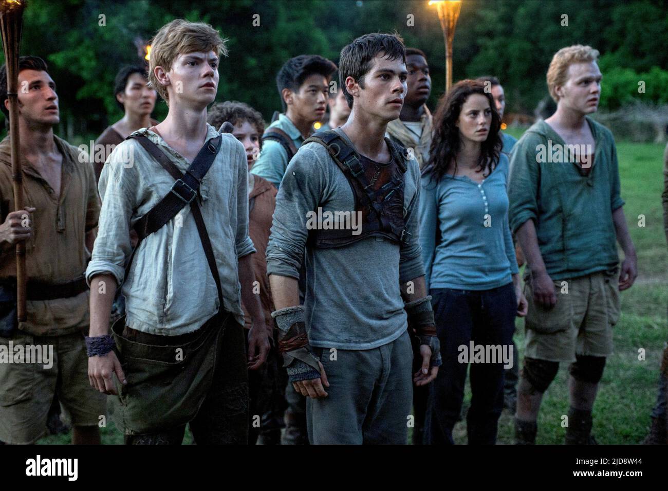 Newt The Maze Runner Stills