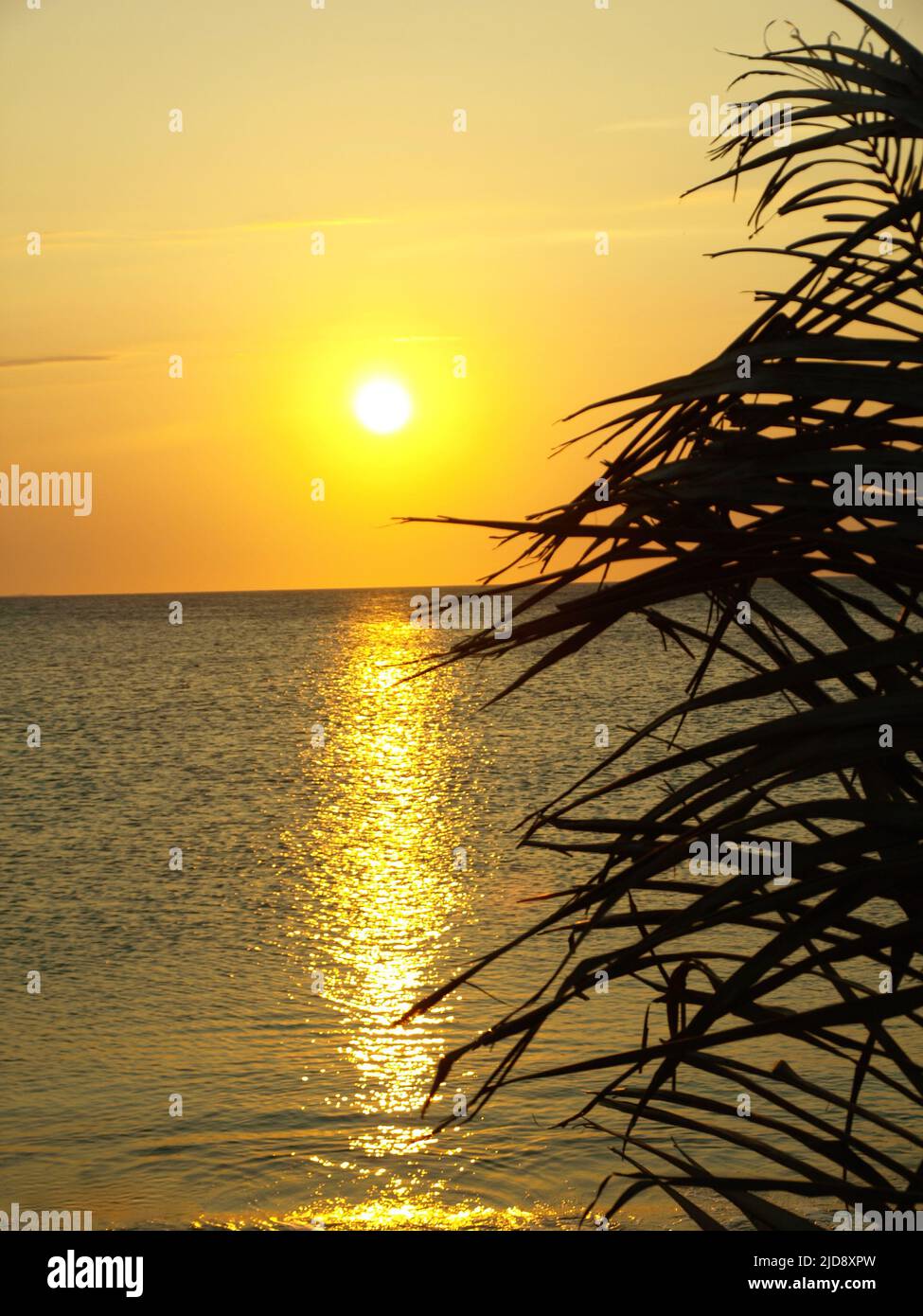 Sun burst yellow golden color. Calming sunset view and its reflection ...