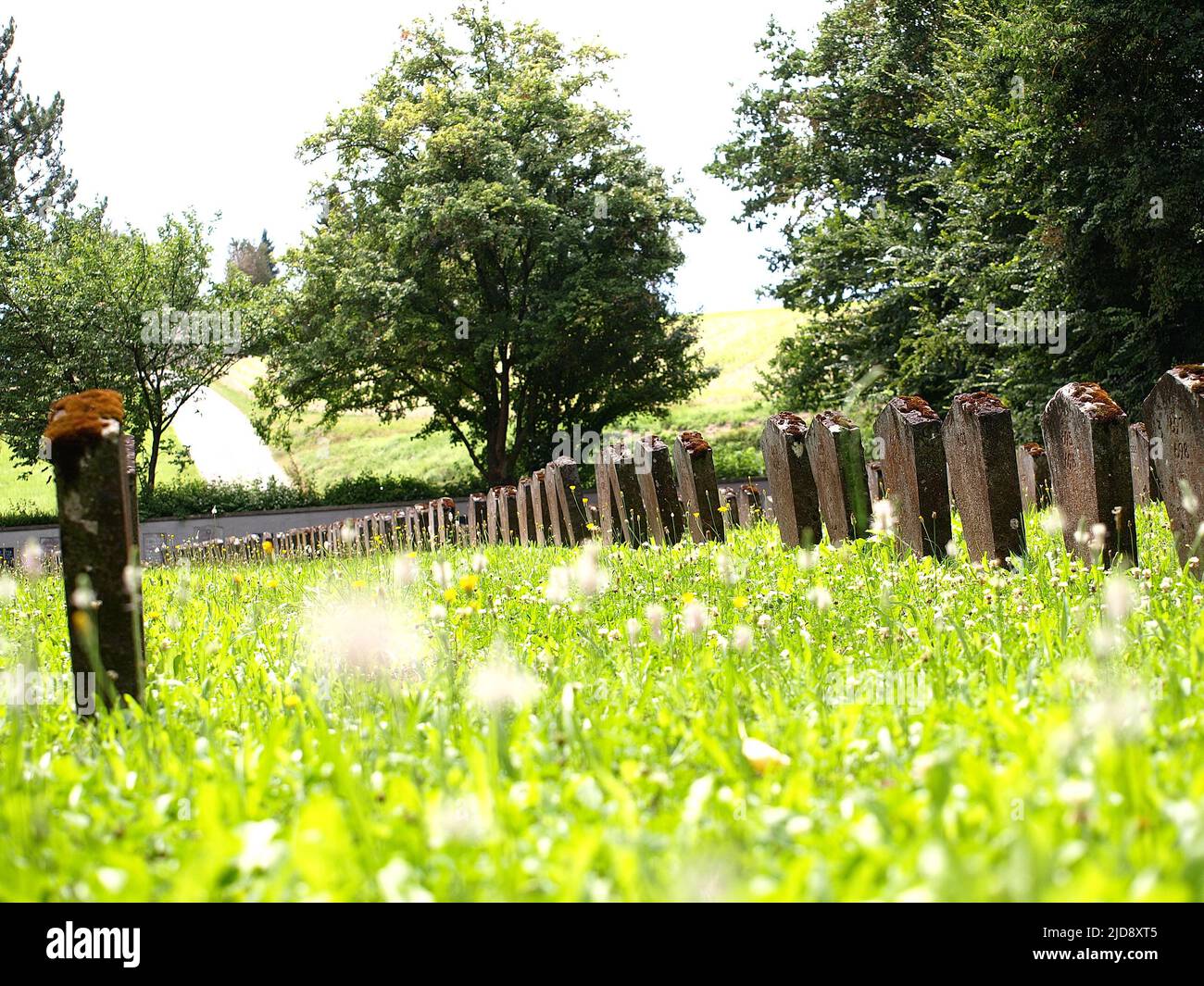 Old graveyard and old grave stones in a ground level faded focus shot ...