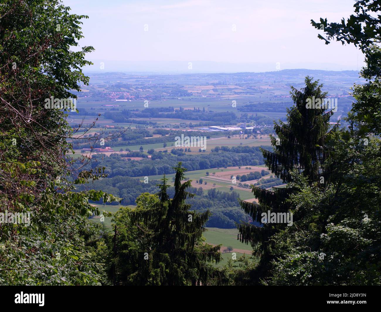 From a high view in Saverne, horizon over the lusty green landscape of ...