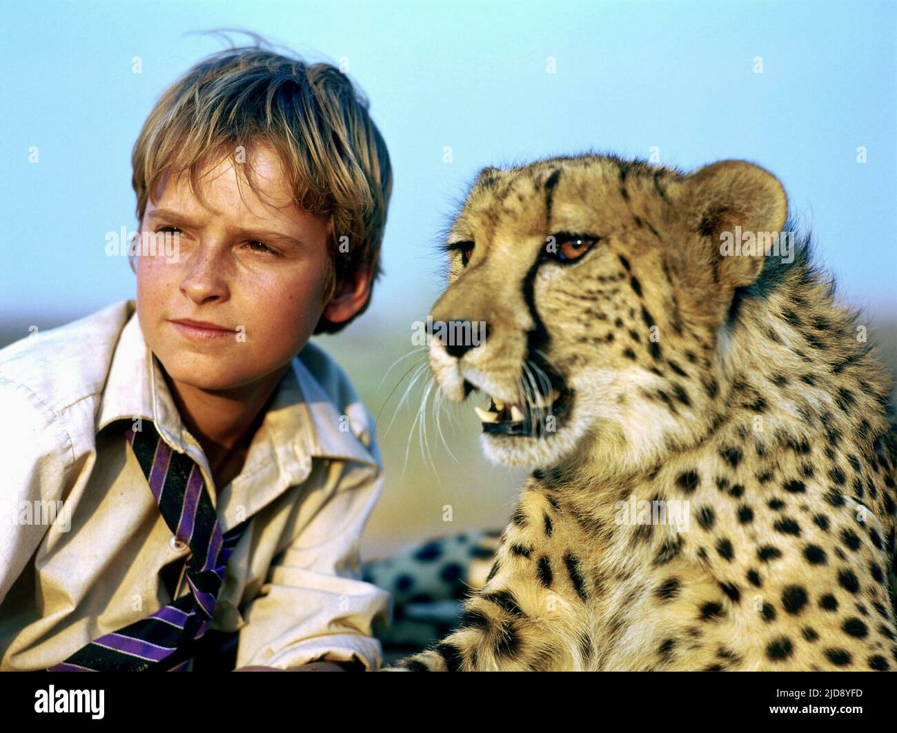 Duma film hi-res stock photography and images - Alamy