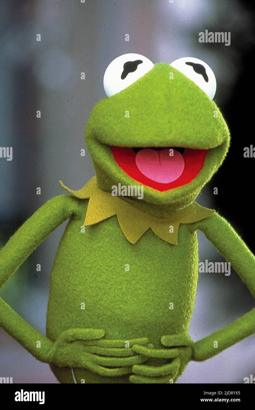 Kermit Smiling