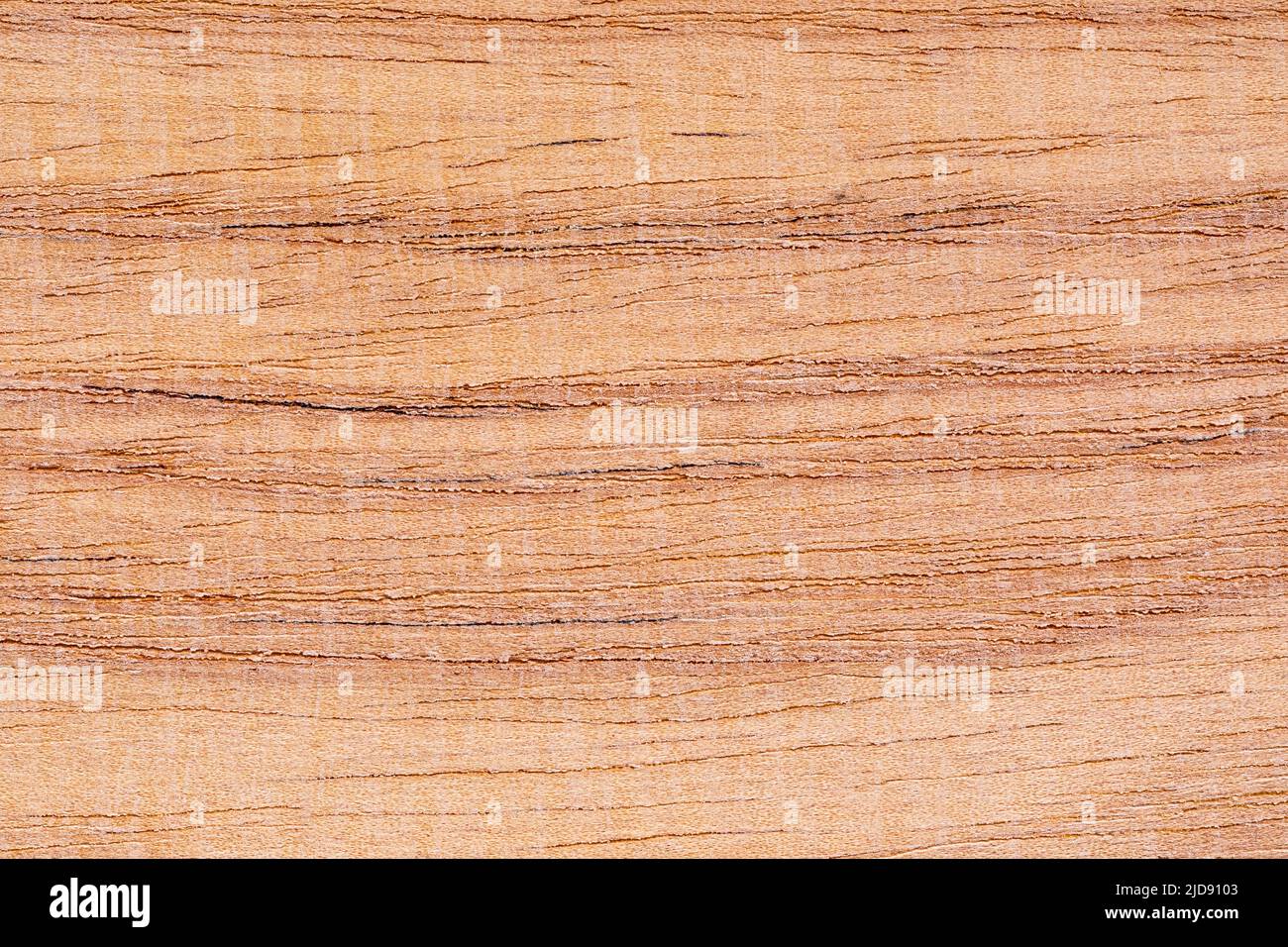 Macro Close up of wooden texture of Cedar wood cigar box surface Stock ...