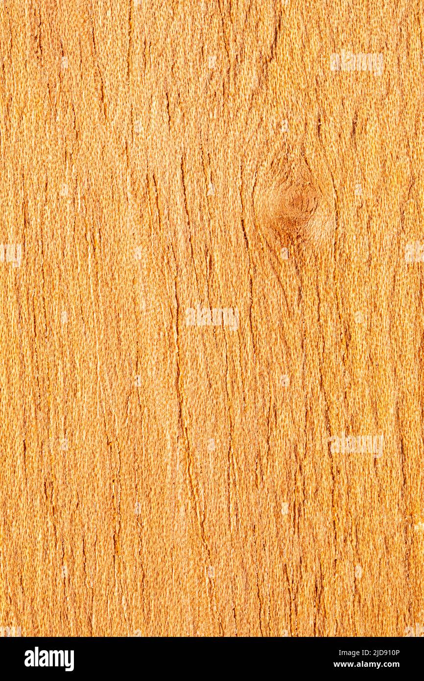 Macro Close up of wooden texture of Cedar wood cigar box surface Stock ...