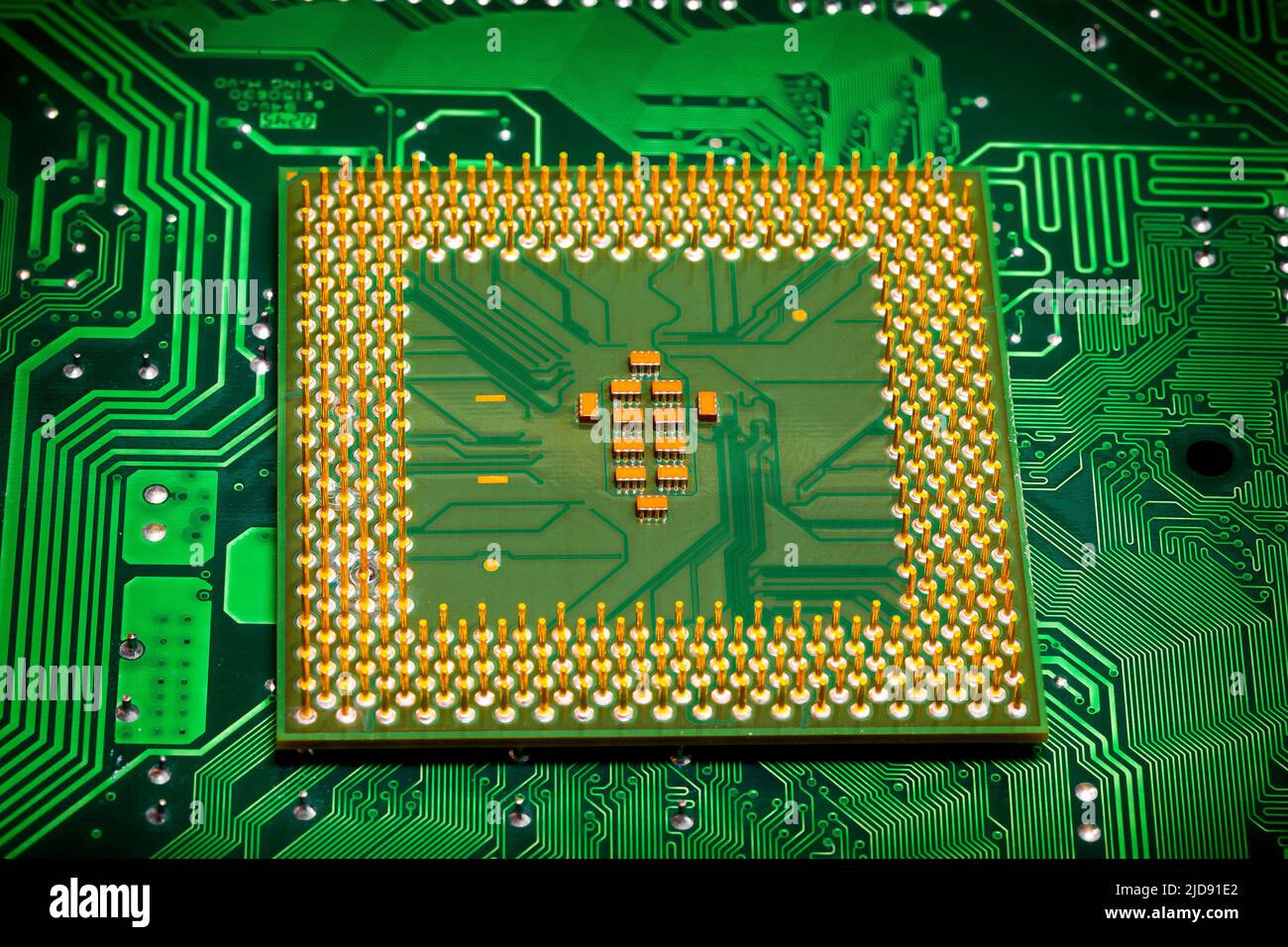 Macro Close up of microchips and pins on Main CPU PC processor circuit ...