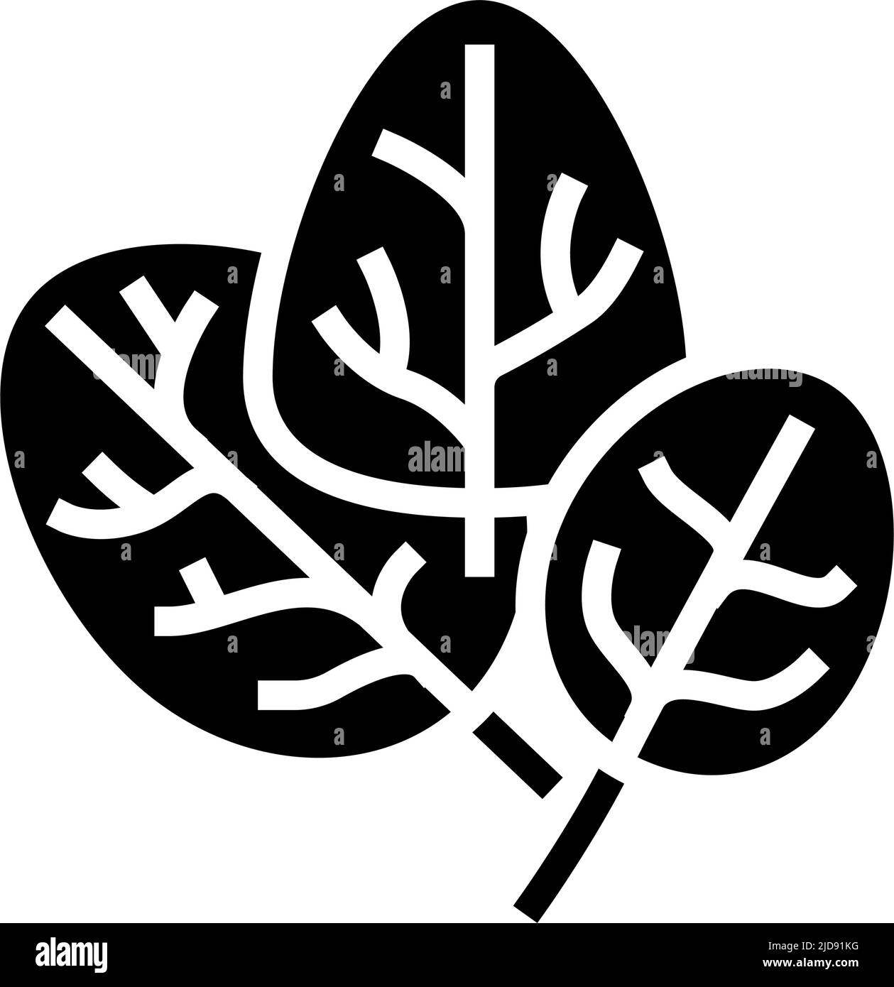 spinach plant glyph icon vector illustration Stock Vector Image & Art ...