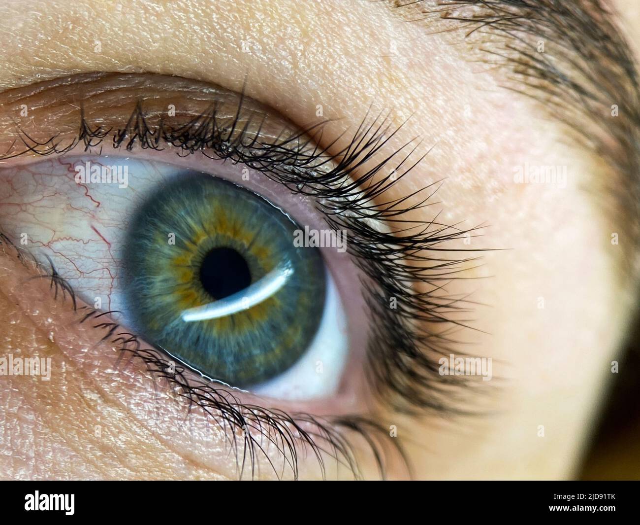 Macro image of the pupil of the eye. Eye close-up Stock Photo - Alamy