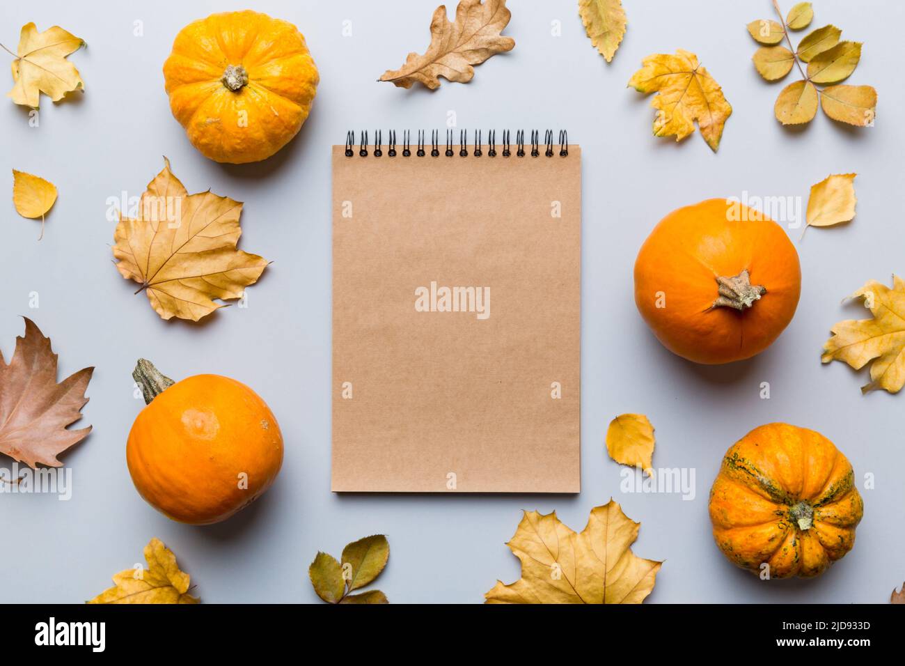 Autumn composition: fallen leaves and notebook mock up on colored ...