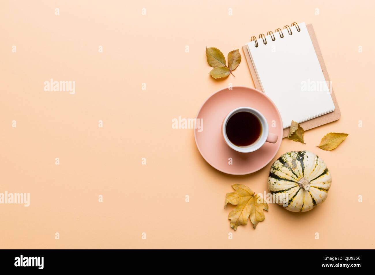 Autumn composition: fallen leaves and notebook mock up on colored ...