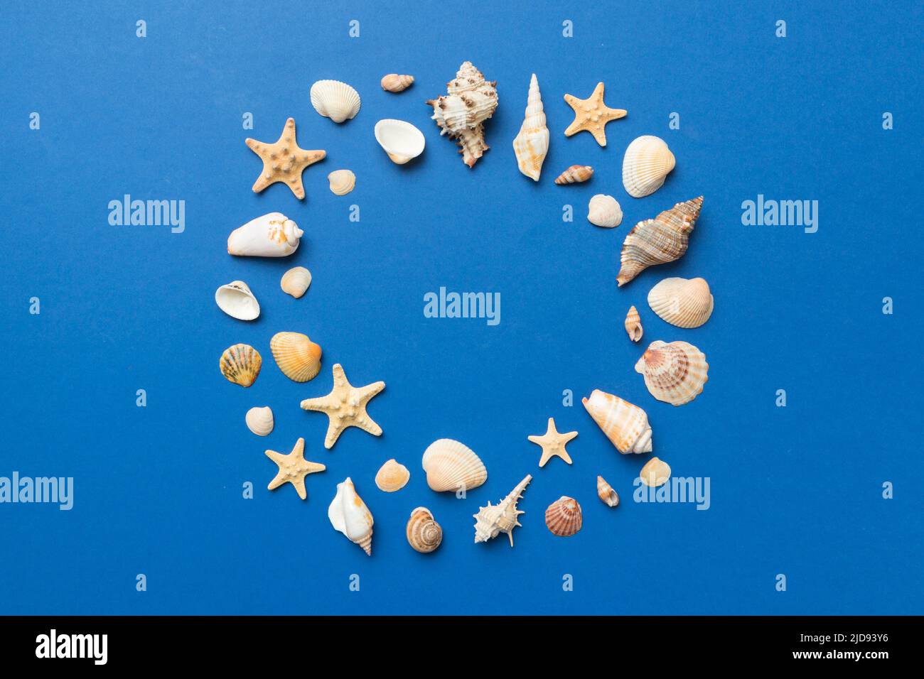 Summer time concept on colored background. Seashells from ocean shore ...