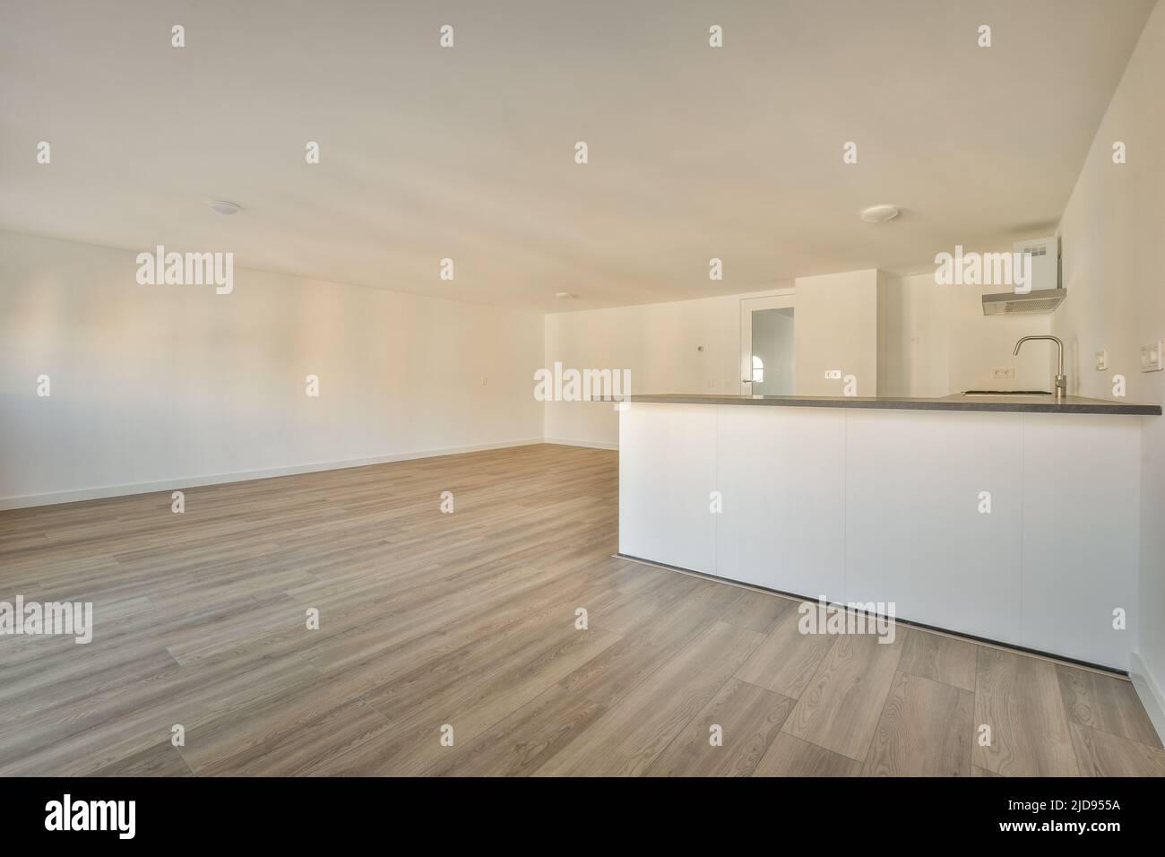 Interior of empty white kitchen with corridor and wooden parquet floor ...