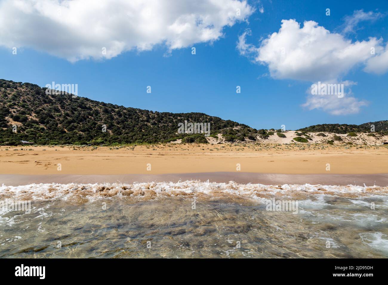Looking back towards the sand dunes from the ocean, at Golden Beach ...