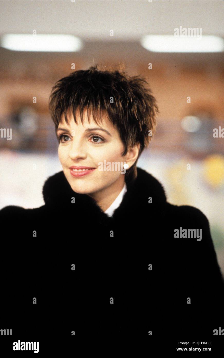 LIZA MINNELLI, ARTHUR 2: ON THE ROCKS, 1988 Stock Photo - Alamy